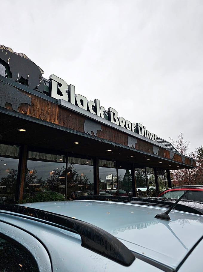 Black Bear Diner's rustic wooden facade promises comfort food that grandmother would approve of – hearty, unpretentious, and blissfully screenshot-free.