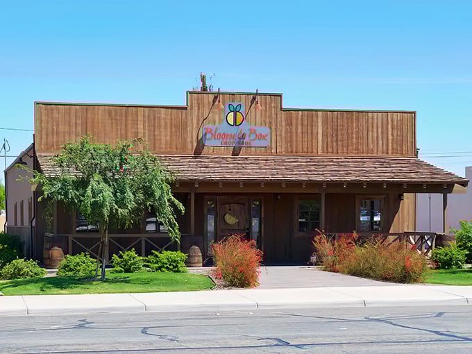 Bloom to Box Crop Care's rustic wooden façade brings a touch of country charm to Main Street, serving the agricultural backbone of Imperial Valley's economy.