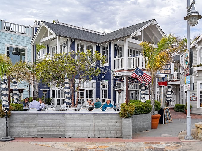 Blue Moon Over Avila serves up coastal comfort in a space that feels like your coolest friend's beach house – if that friend had excellent taste.
