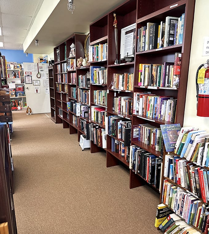 The book section: where literary treasures hide between well-loved covers. That paperback might have been someone's beach read three summers ago!