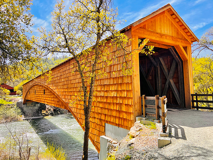 Morning light gives the cedar shingles a honey-gold glow. If these wooden walls could talk, they'd tell tales of prospectors and pioneers.