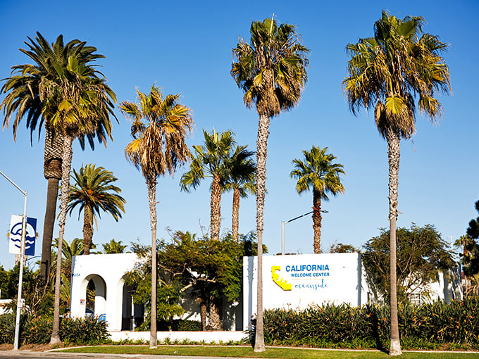 California welcomes you properly—with swaying palm trees, blue skies, and the promise that yes, life really can be this good sometimes.