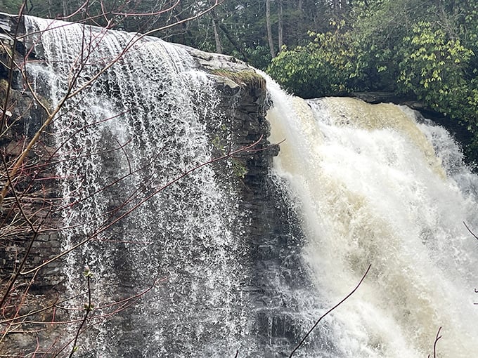 The dual personality of the falls on full display—one side elegant and restrained, the other wild and untamed, like my dancing after two glasses of wine.