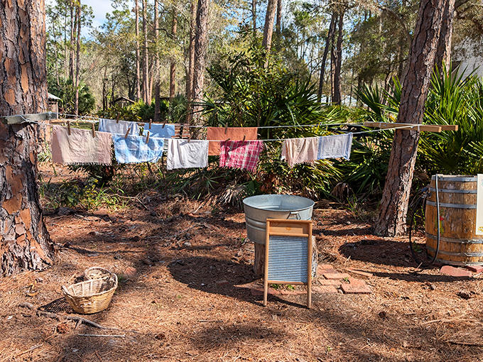 Laundry day: when washing clothes meant physical labor instead of pushing buttons, and your spin cycle was whatever speed you could crank that washboard.