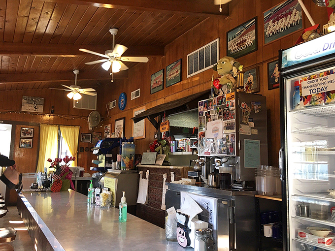 The counter view reveals the diner's beating heart—where coffee is always brewing and local sports memorabilia chronicles community pride.