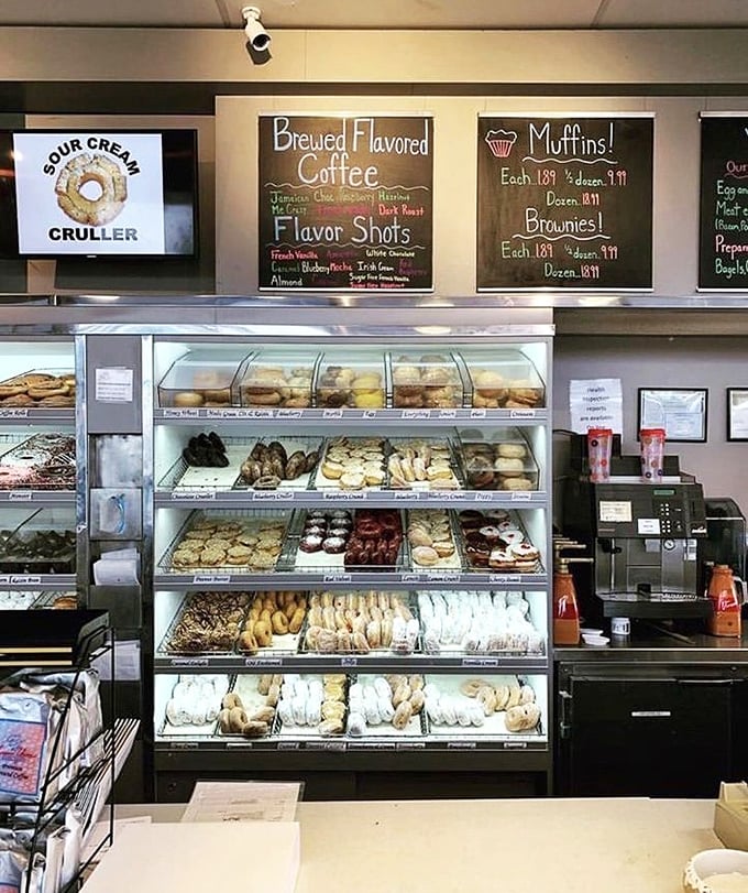 Behind these glass cases lies a world of possibility, where every shelf offers a different path to happiness. 
