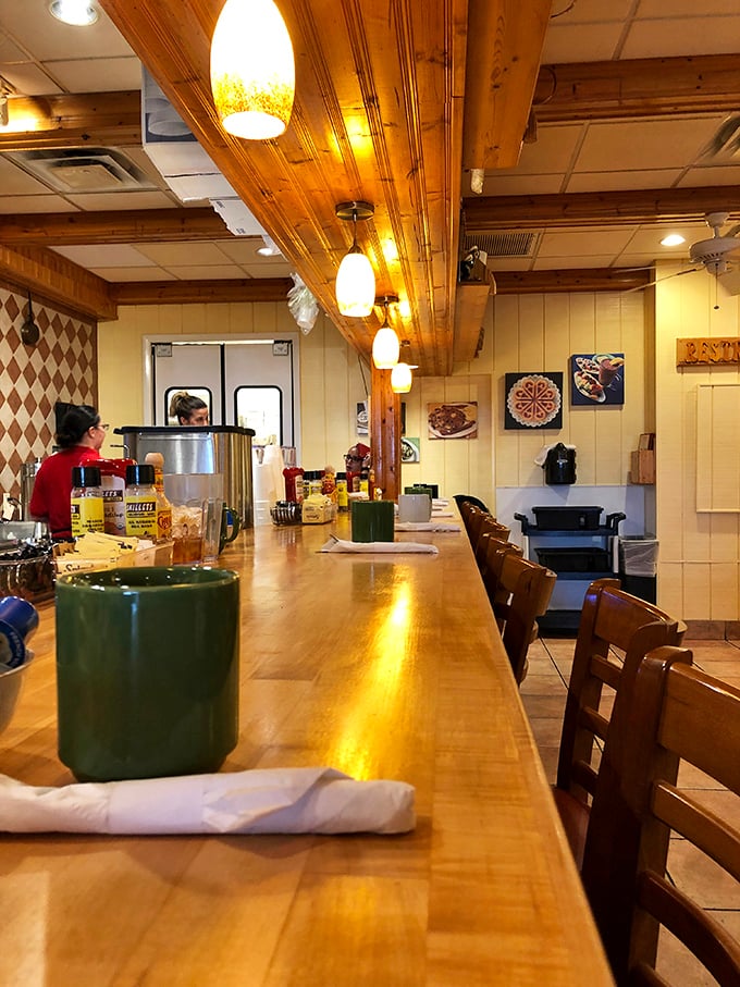 The polished wooden counter gleams under pendant lights, offering front-row seats to the breakfast show. Counter culture at its finest.