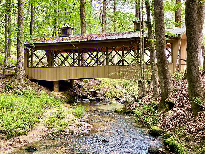 This covered bridge seems plucked from a storybook, spanning a gentle creek where time slows to match the unhurried pace of the water below.