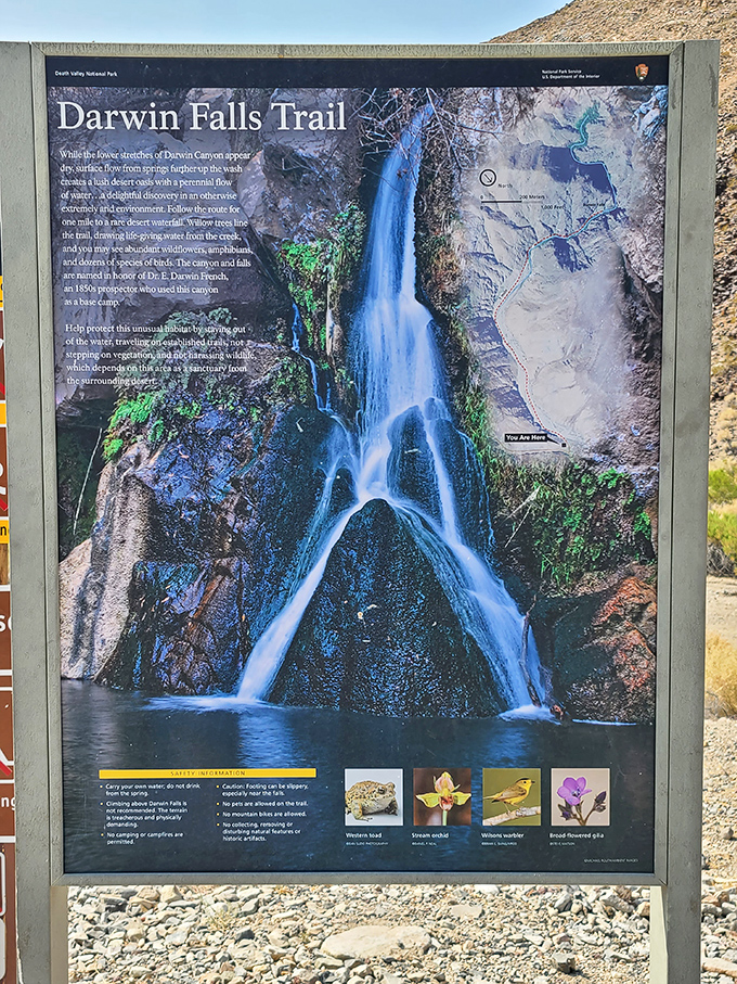 The trail sign offers a preview of coming attractions—like a movie poster that can't possibly capture the surreal experience waiting ahead.