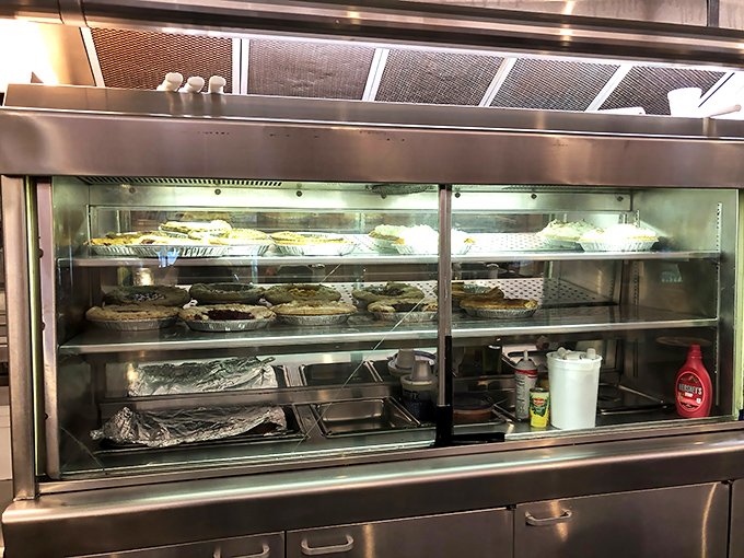 The pie display case—where willpower goes to die and "I'll just have coffee" turns into "and a slice of that one."