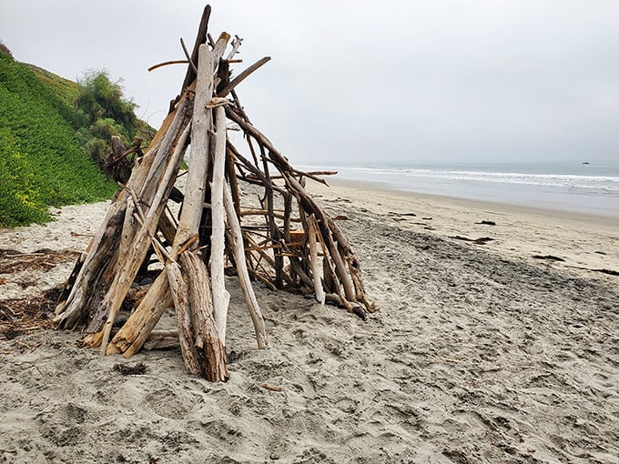Beach architecture at its finest—driftwood shelters built by creative beachgoers. Terramar's version of oceanfront property, no mortgage required.
