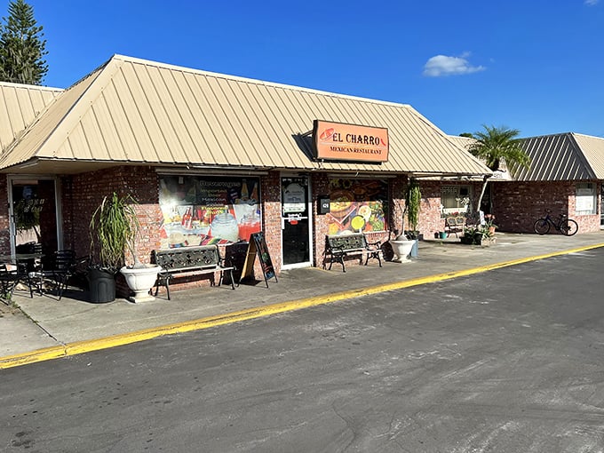 El Charro brings authentic Mexican flavors to rural Florida, proving good food knows no borders—just like the best road trip discoveries.