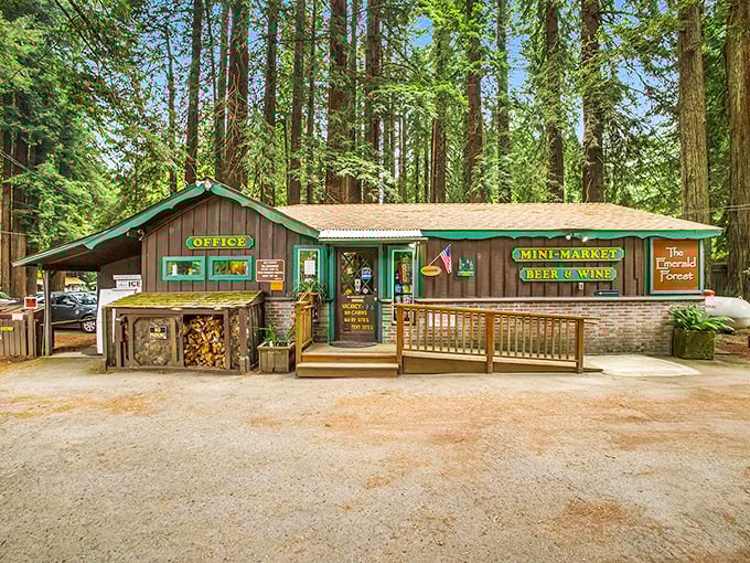 Emerald Forest's office and mini-market nestled among redwoods taller than your retirement dreams. Camping with conveniences is not an oxymoron here.