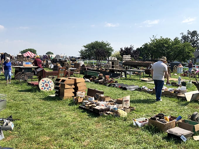 Treasure hunting at its finest. One person's "stuff" is another's conversation piece—each box a mystery waiting to be solved.