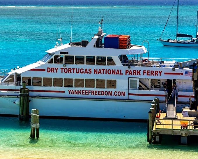 The Yankee Freedom III ferry—your chariot to isolation. This high-speed catamaran transforms a 70-mile journey into a marine safari of dolphins and flying fish.