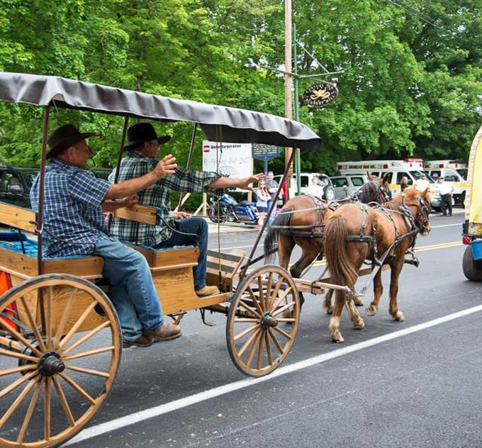 Horse-drawn carriage rides offer visitors a perfect pace to absorb Brownsville's historic charms during special community celebrations.