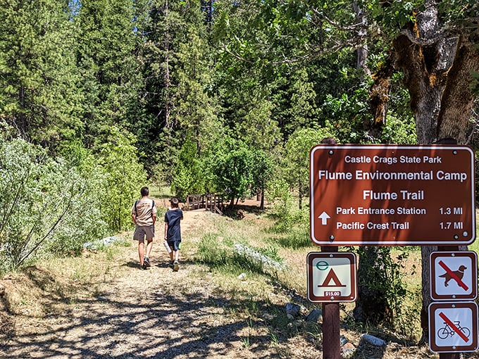Two hikers embarking on the Flume Trail adventure, blissfully unaware they're about to earn every stunning view with sweat equity.