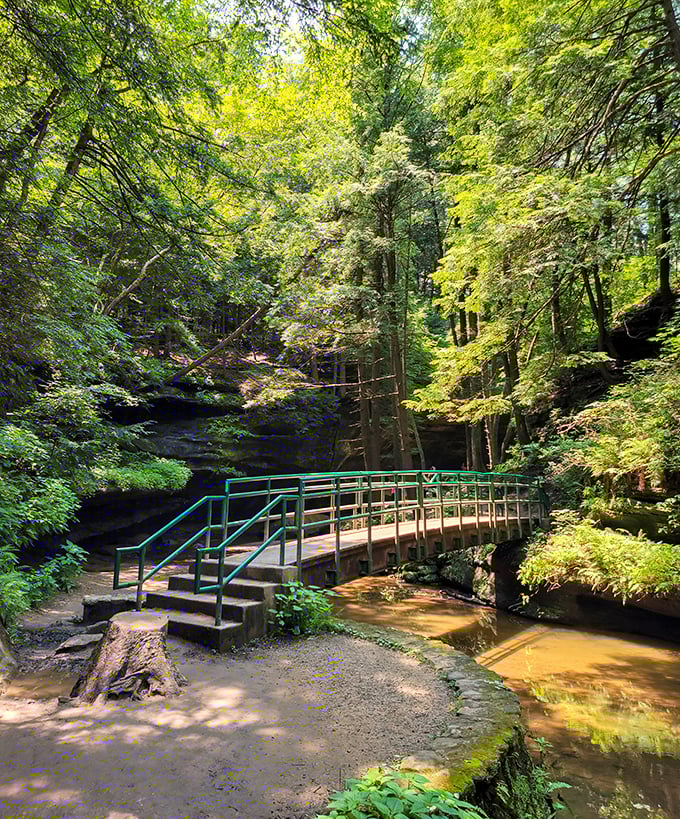 This isn't just any footbridge—it's the gateway to adventure, beckoning visitors into a world of moss-covered mystery and woodland magic.