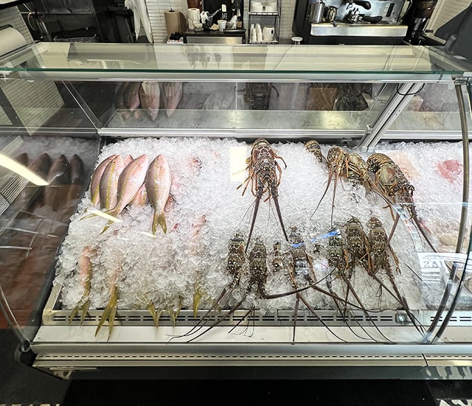 The fish market display case – where your dinner was swimming this morning. Talk about transparency in the food chain!