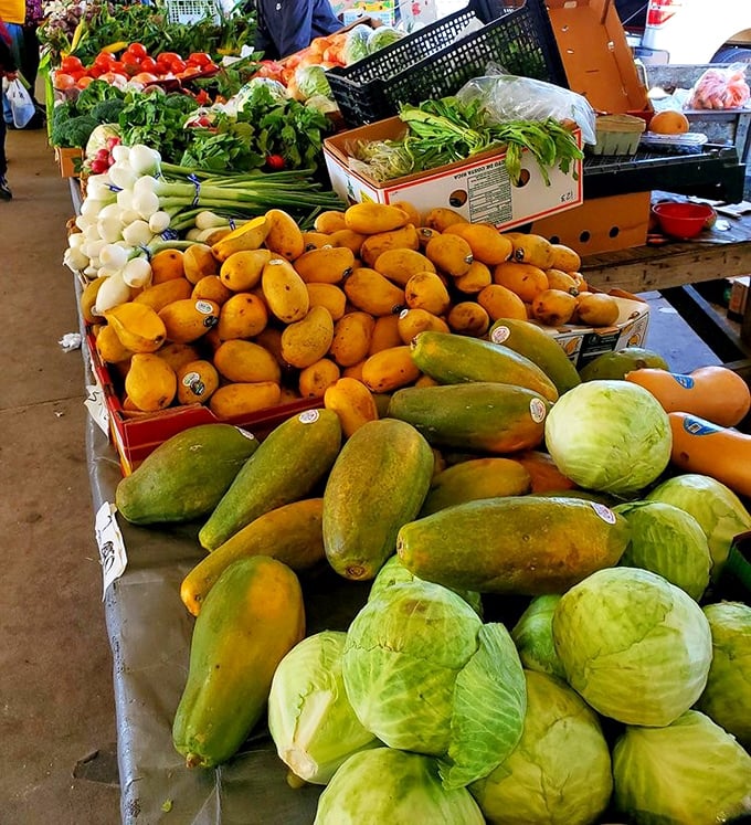 Nature's candy counter – where Florida's sunshine gets transformed into vibrant produce that makes grocery store offerings look like sad imposters.