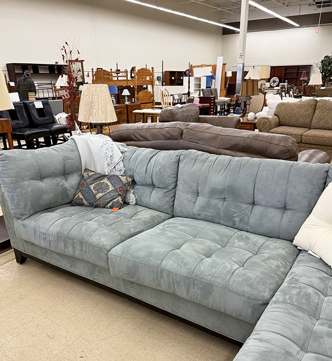That tufted blue sofa isn't just comfortable—it's practically begging for Sunday afternoon naps during Bears commercial breaks.