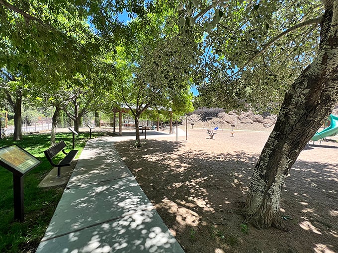 Garfield Park offers dappled shade and a moment to catch your breath. After conquering Bisbee's staircases, these trees provide merciful shelter from the Arizona sun.