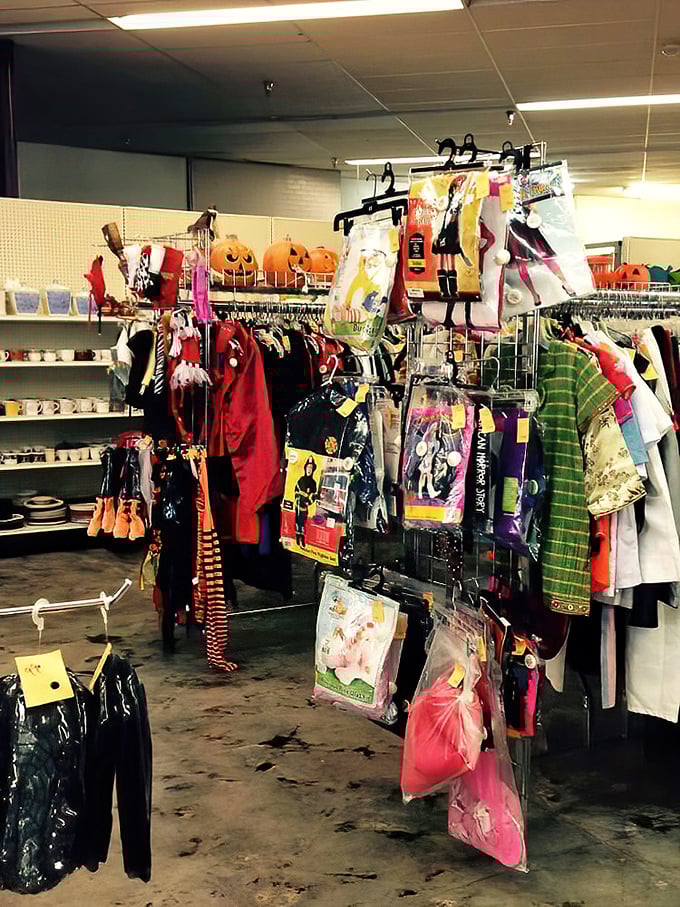 Halloween never ends at Mega Thrift. Last year's costumes become this year's bargains—spooky savings that won't haunt your wallet.