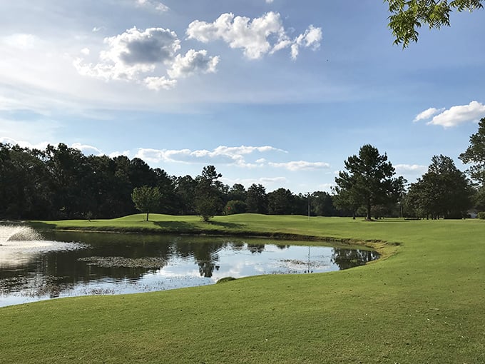Water hazards never looked so serene—this golf course view captures the peaceful side of a sport that usually raises my blood pressure.