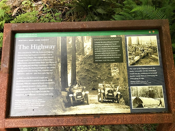 Historical markers tell the story of conservation victories. Without them, these giants might exist only in old photographs.