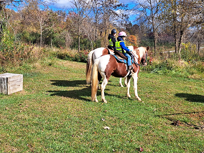 Horseback happiness captured: Salt Fork's riding trails offer perspective from a higher vantage point—both literally and metaphorically.
