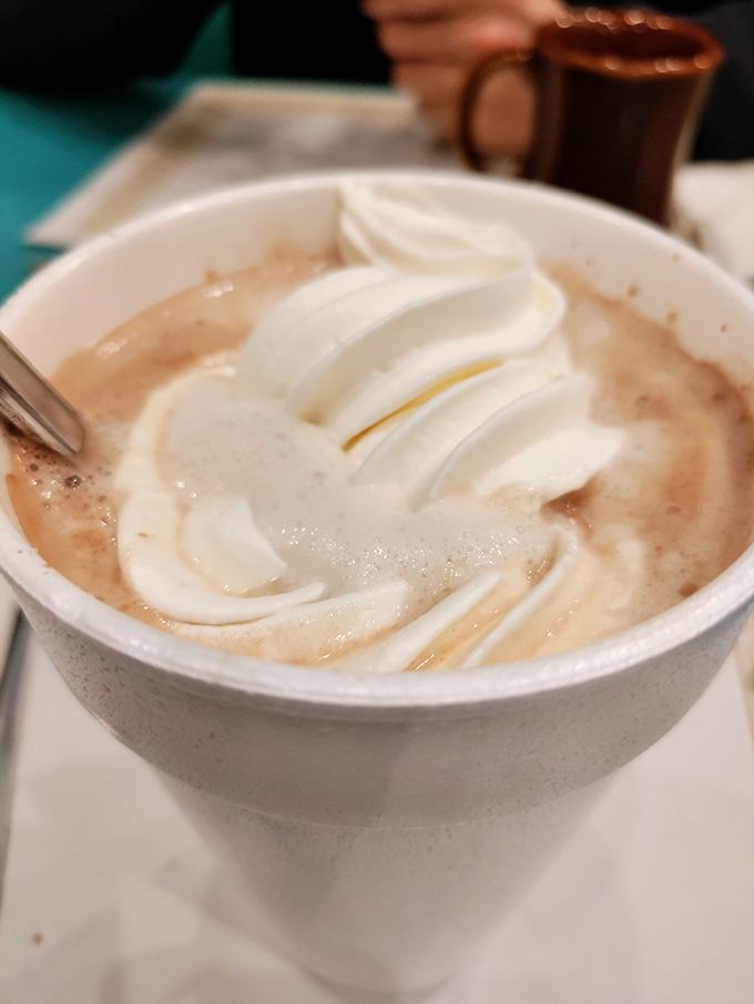Hot chocolate crowned with a swirl of whipped cream—winter's perfect companion and proof that simple pleasures are often the most satisfying.