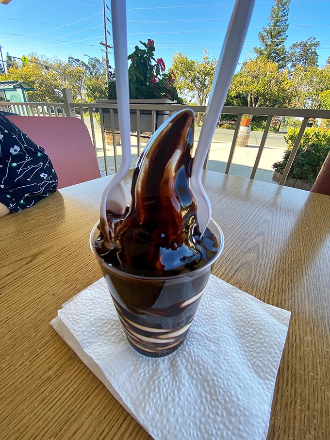 A hot fudge sundae that doesn't need fancy adjectives—just a spoon and the willingness to embrace joy in its purest form.