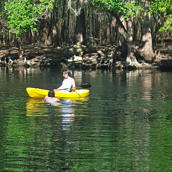 Kayaking the local waters offers front-row seats to Florida's wild theater. That yellow kayak isn't just transportation—it's your ticket to scenes most people only see in nature documentaries.