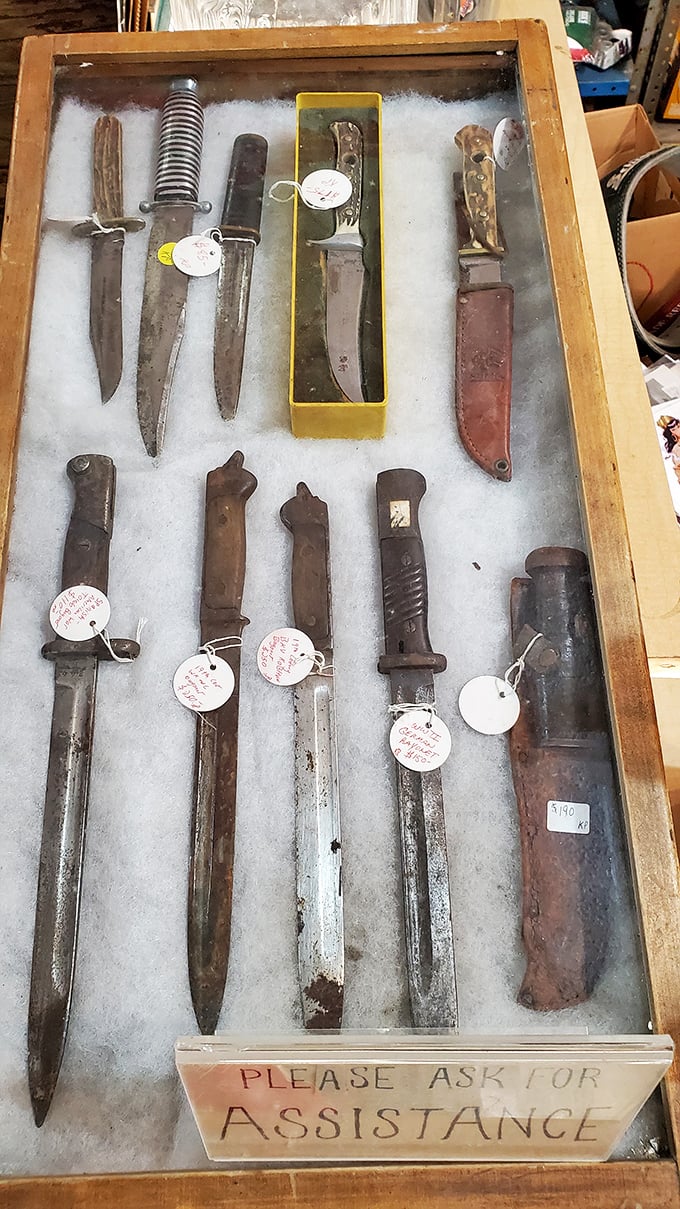 These blades have stories sharper than their edges—vintage cutlery displayed with the respect deserved by tools that have survived generations.
