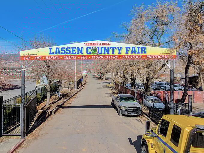 The Lassen County Fair entrance announces itself with small-town pride and big promises—where blue ribbons, livestock competitions, and funnel cakes create annual memories.
