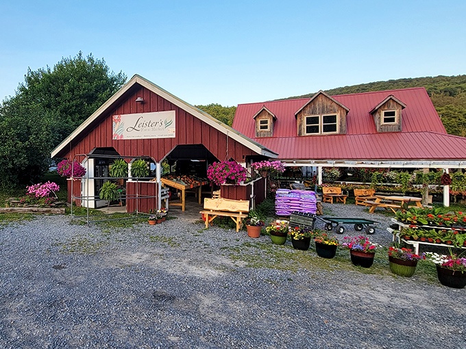 Leister's Farm Market's red barn aesthetic isn't just for show—it's where locals have been finding fresh produce for generations.