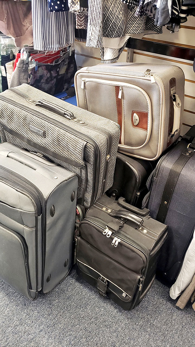 The luggage corner—where your travel dreams meet practical reality. These suitcases have stories to tell but plenty of miles left.