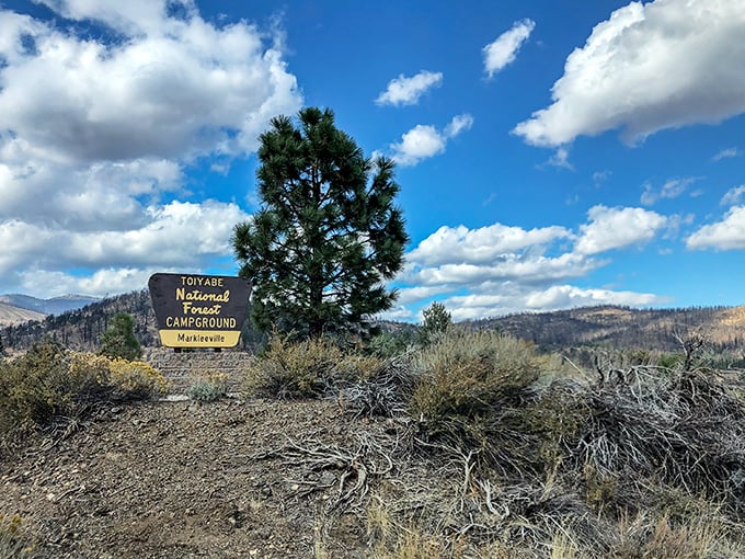 Toiyabe National Forest Campground sign stands sentinel against a perfect Sierra sky. Nature doesn't need filters when it looks this good.