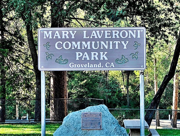 Mary Laveroni Community Park—where locals have been gathering for picnics, concerts, and the occasional friendly argument about fishing spots for generations.