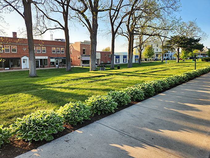 Morning light casts long shadows across Pennsylvania Park, where hostas stand at attention like green-leafed sentinels.