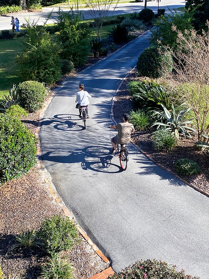 Bicycling through Micanopy's landscaped paths offers a perfect pace to absorb the town's beauty—neither rushed nor sluggish, just right.