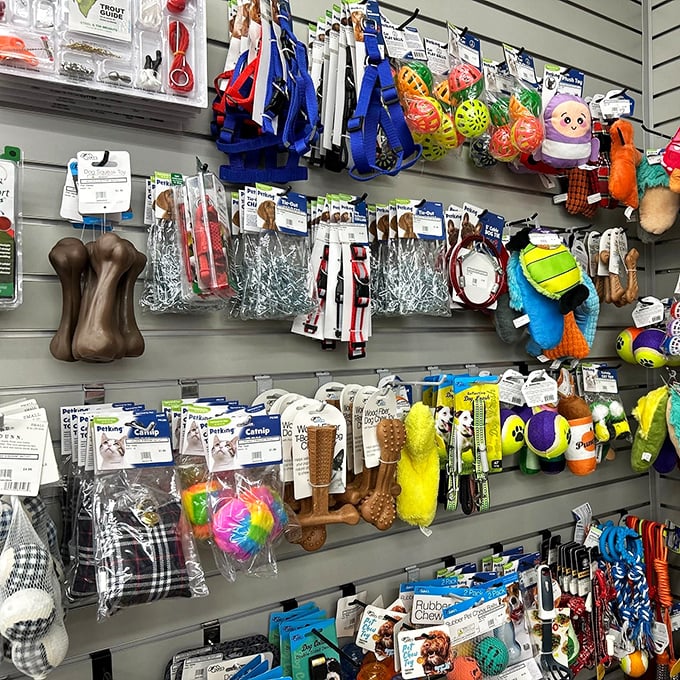 Pet paradise in miniature – where Fido can get fancy without emptying your wallet. Those plush toys won't stay pristine for long.