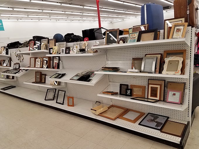 Empty frames waiting to showcase your memories. One person's discard becomes another's perfect gallery wall starter kit.