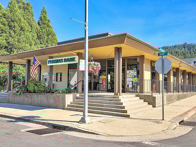 Plumas Bank proves even financial institutions look friendlier when surrounded by pine-scented air and mountain views.