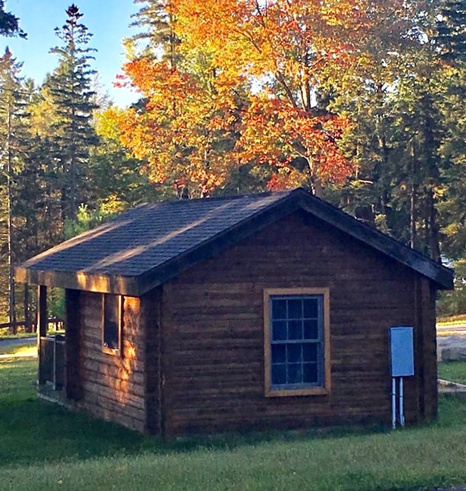 Rustic cabin perfection with a side of autumn glory. Thoreau would have upgraded from Walden Pond if he'd seen this setup.