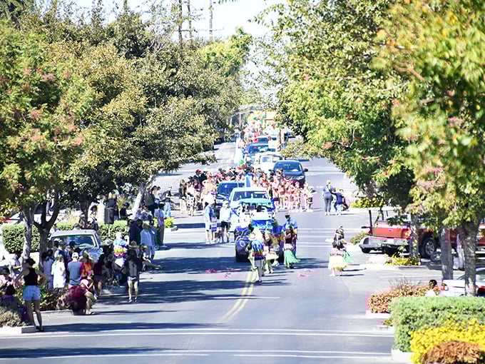 The Bass Derby Festival parade – where the whole town turns out to celebrate fish. Only in a river community could scales and tails inspire such wholehearted revelry.