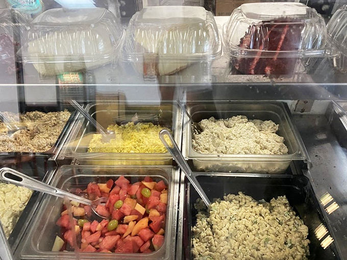 The salad bar—where good intentions meet temptation, and potato salad somehow always ends up next to your virtuous vegetables.