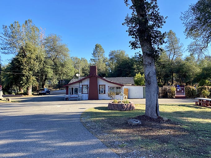 Small-town motels with big-time comfort – proof that luxury isn't always about thread counts.