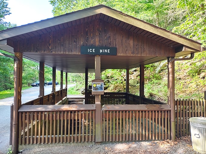 The Ice Mine's perfect packaging. This rustic shelter houses one of nature's most curious phenomena—a natural refrigerator that defies summer's heat.