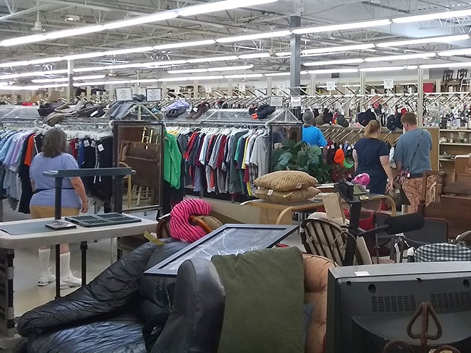 Shoppers navigate the furniture section with the focused determination of explorers, occasionally stopping to consider if that chair would work in the den.